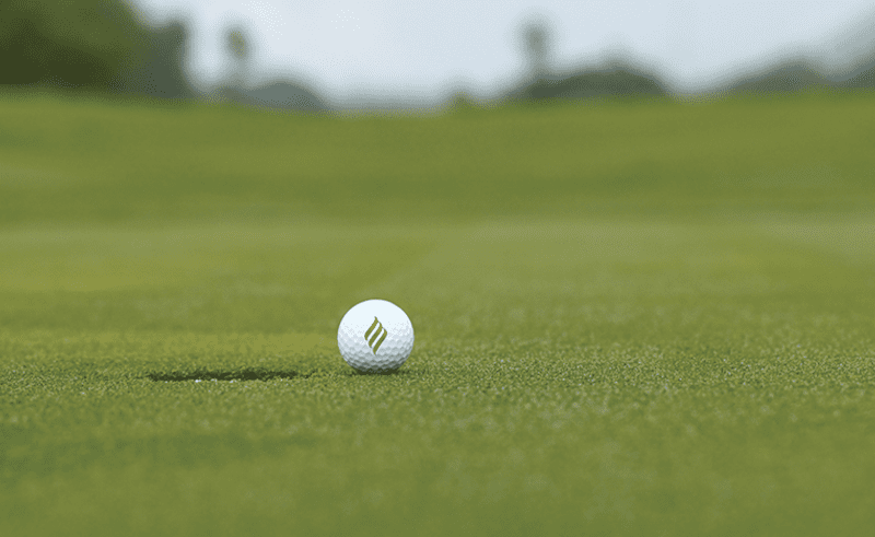 Via Mizner | US Immigration Fund